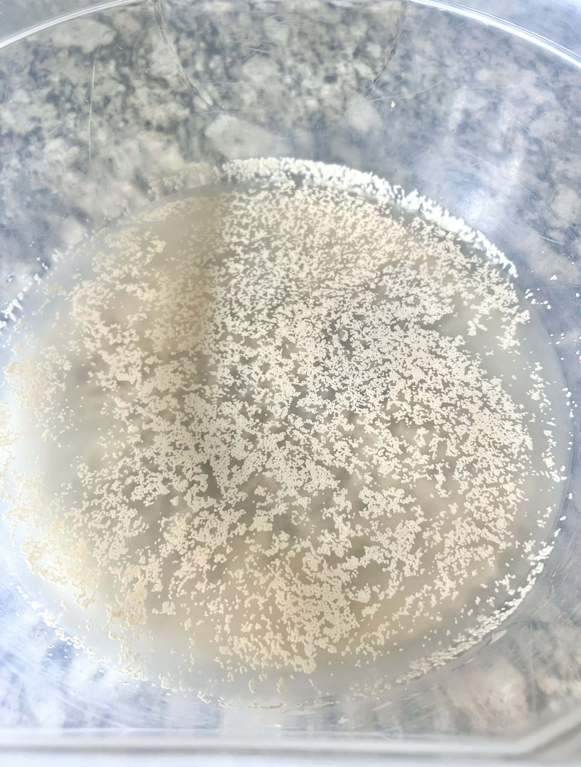 How to Make Homemade Cinnamon Rolls Using Yeast - Keep It Simple Anna Sue